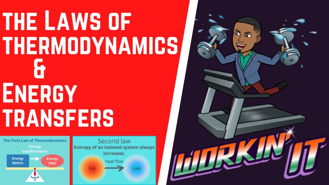 How Do The Laws of Thermodynamics Affect Energy Transfers??? - YouTube