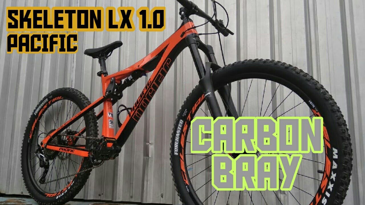 PACIFIC CARBON | PASIFIC SKELETON LX 1.0 | REVIEW - YouTube