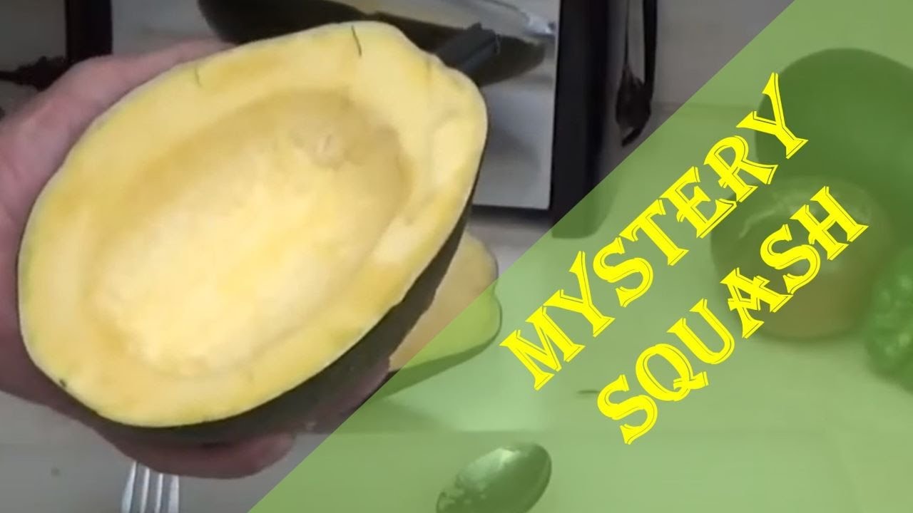 Cross Pollinating Squash in the Deep Mulch, No Till Garden 7-24-2020 ...