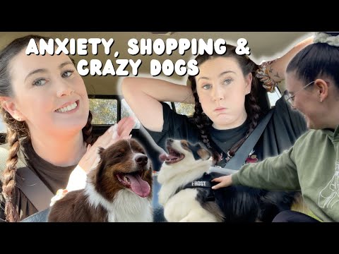 Dog Friendly Co Review & Day in the life as a Dog Mum | PLUS Costco Shop with me & haul