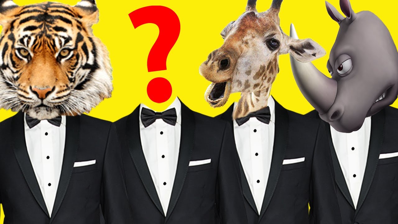 Guess Who Challenge ( Animals) Try to guess the characters ! - YouTube