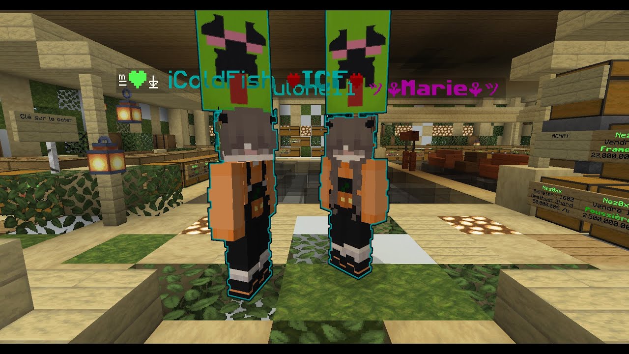 Video First sky Minecraft ep3 j'ai travailler dure pour remplire ce ...