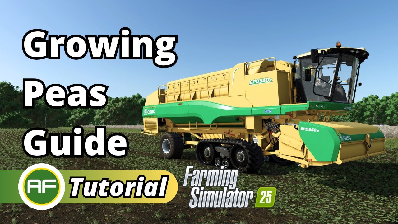 How To Grow Peas In Farming Simulator 25 - YouTube