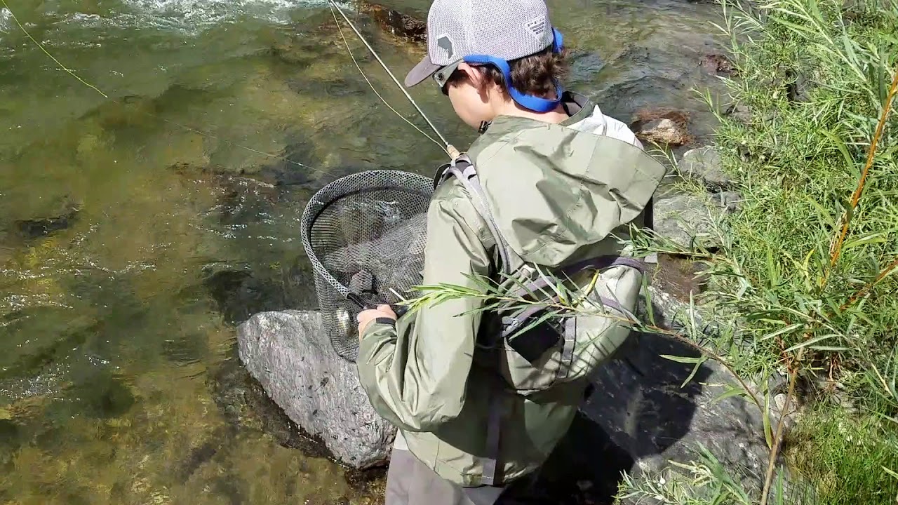 Competitive Fly Fishing Practice on Clear Creek - YouTube