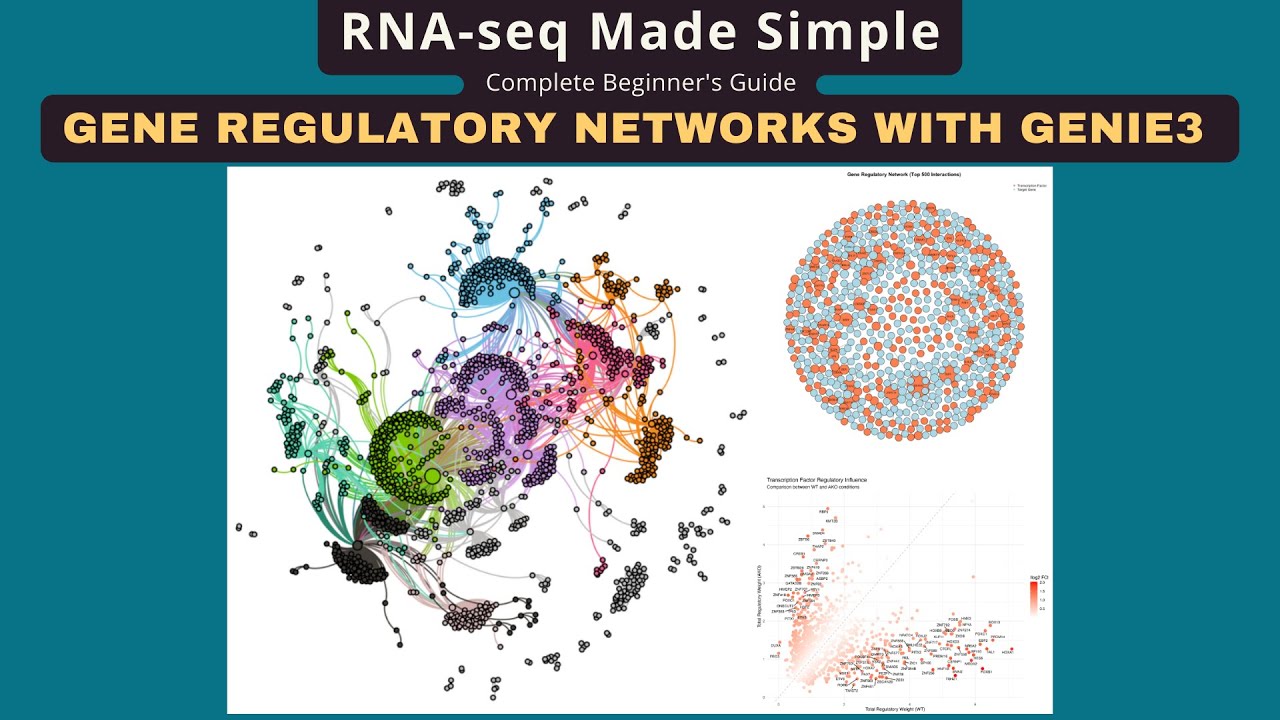 Build Gene Regulatory Networks From RNA-seq Data: GENIE3 Machine ...