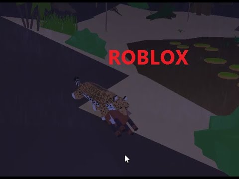 Jaguar hunts prey | Amazon Ascensios ROBLOX - YouTube