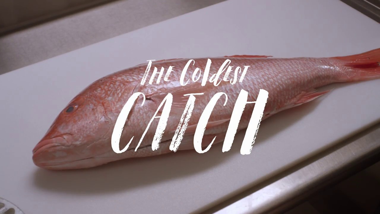 True Refrigeration - Reach-ins - The Coldest Catch - YouTube