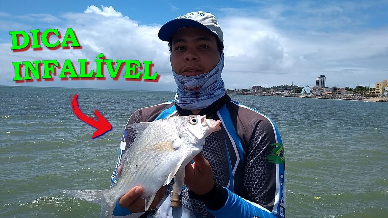 Dicas na pescaria de carapeba - YouTube
