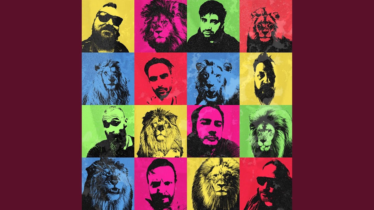 Beards Make You Look Like A Lion - YouTube