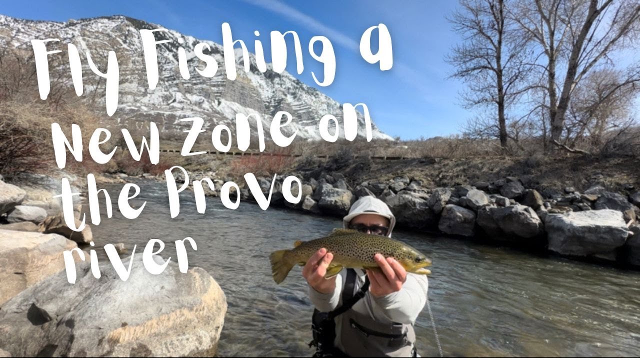 Fly fishing a new zone on the Lower Provo River (euro nymphing) - YouTube