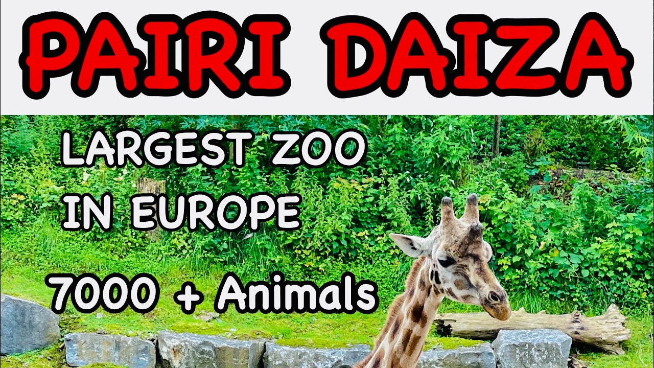 Visit Pairi Daiza, Belgium - Largest Zoo in Europe : Walking Tour 4K ...