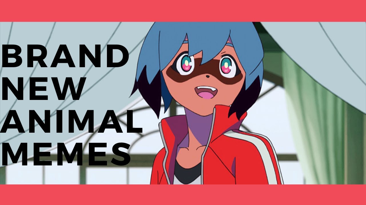 Bna Memes | Brand New Animal Memes - YouTube