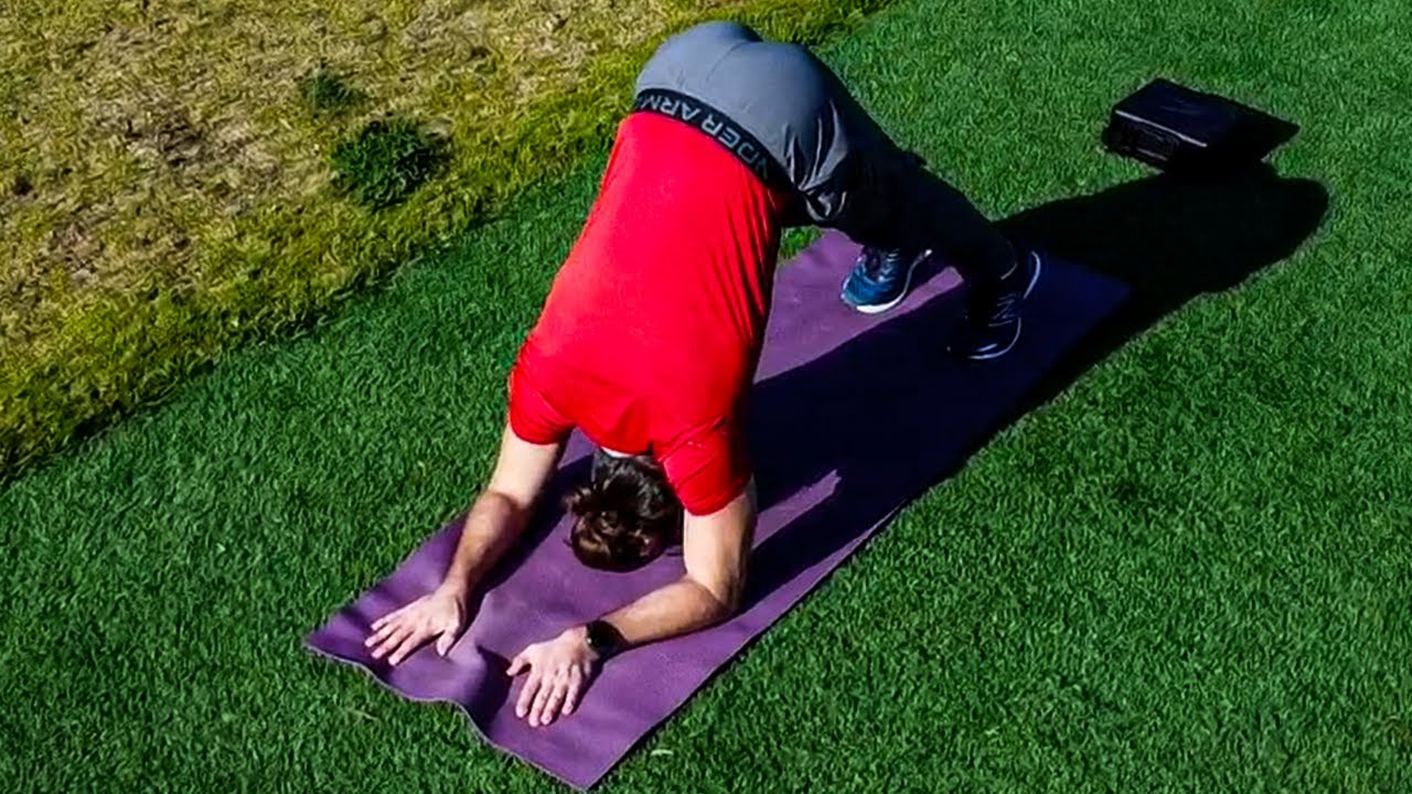 Learn the Dolphin Pushup in 60 Seconds - YouTube