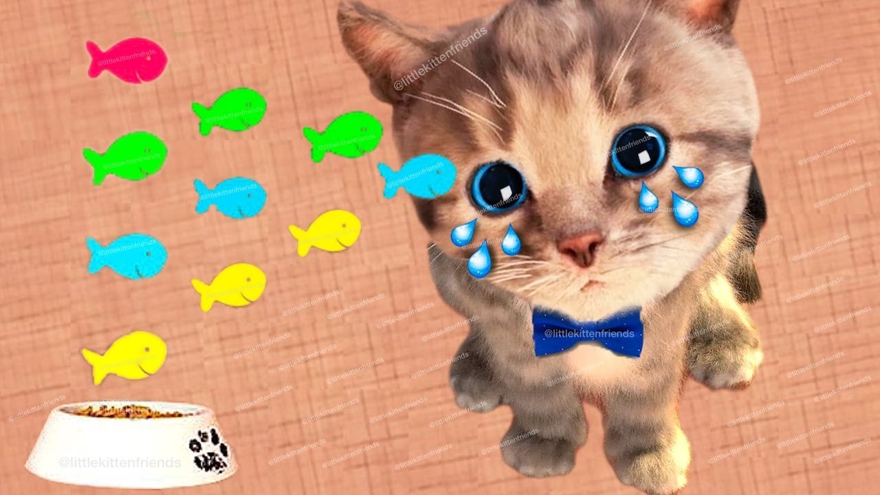 ADVENTURE OF A LITTLE KITTEN cartoon for kids and toddlers cartoons ...