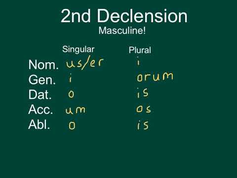 Latin 2nd declension masculine song - YouTube
