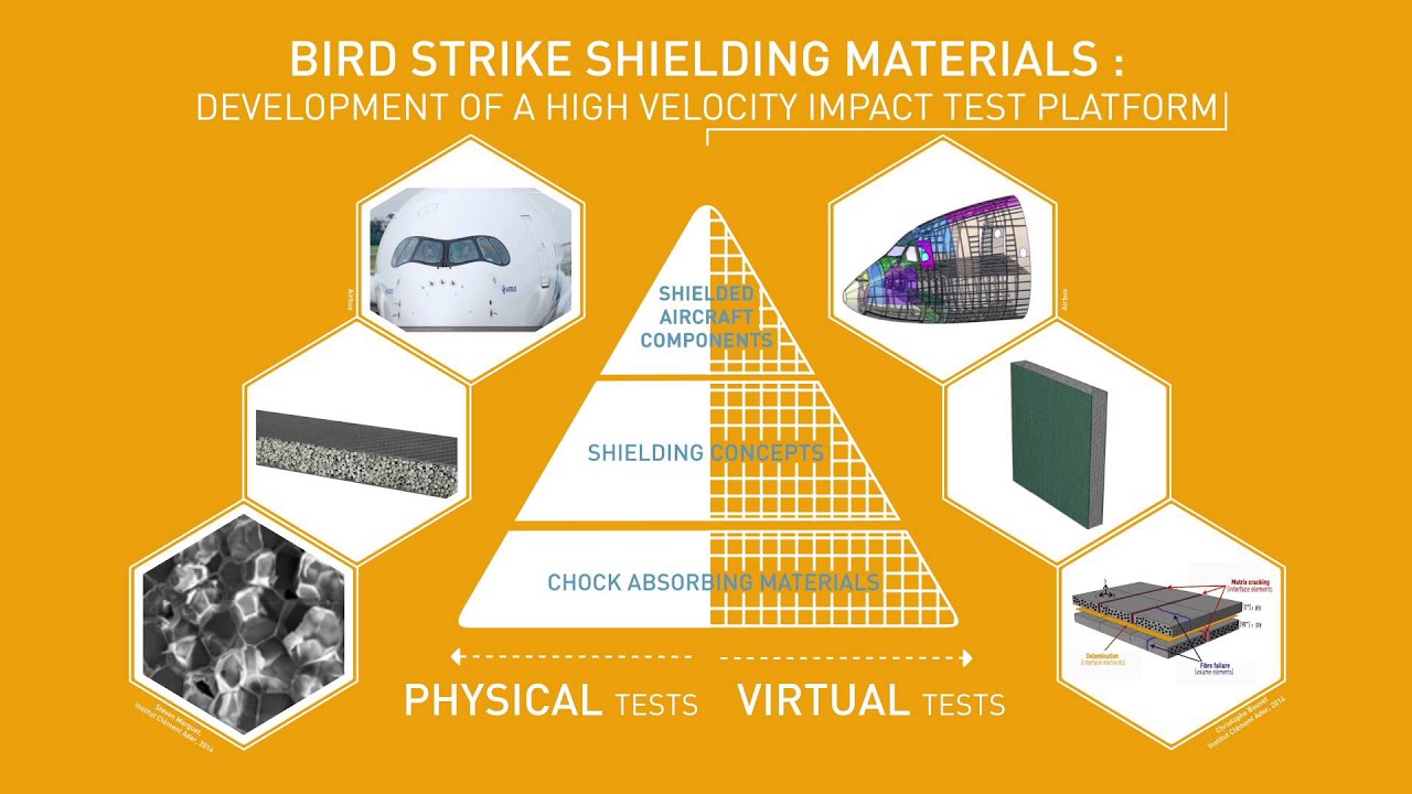 Bird strike shielding materials: development of a high velocity impact ...