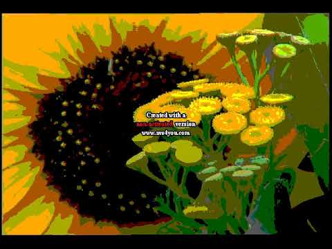 Sample AVS Video Effects - YouTube