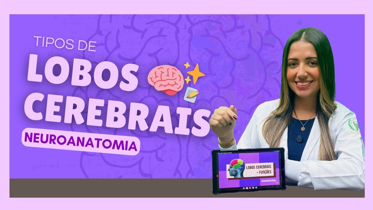 CORTÉX CEREBRAL + LOBOS CEREBRAIS | FUNÇÕES DOS LOBOS CEREBRAIS ...