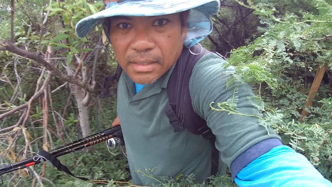 Going through the bushes to catch permit JACK - NO permit ( Vlog 🇯🇲 ...