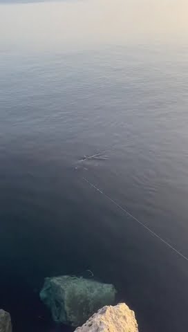 5kg Triple tail fish catching by hand - YouTube