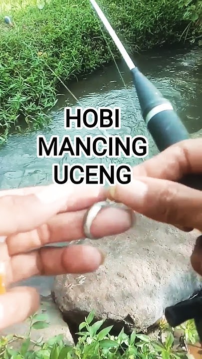 lagi punya hobi mancing uceng #mamcingliar #microfishing #mancingmania - YouTube