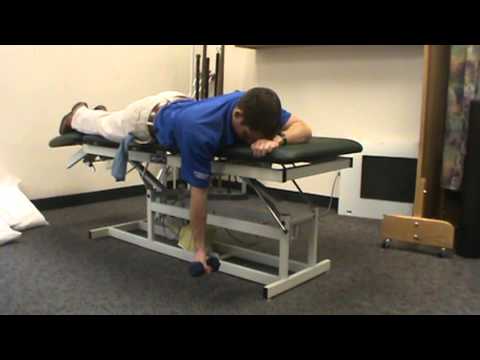 Prone Shoulder Scaption, Abduction, Extension - YouTube
