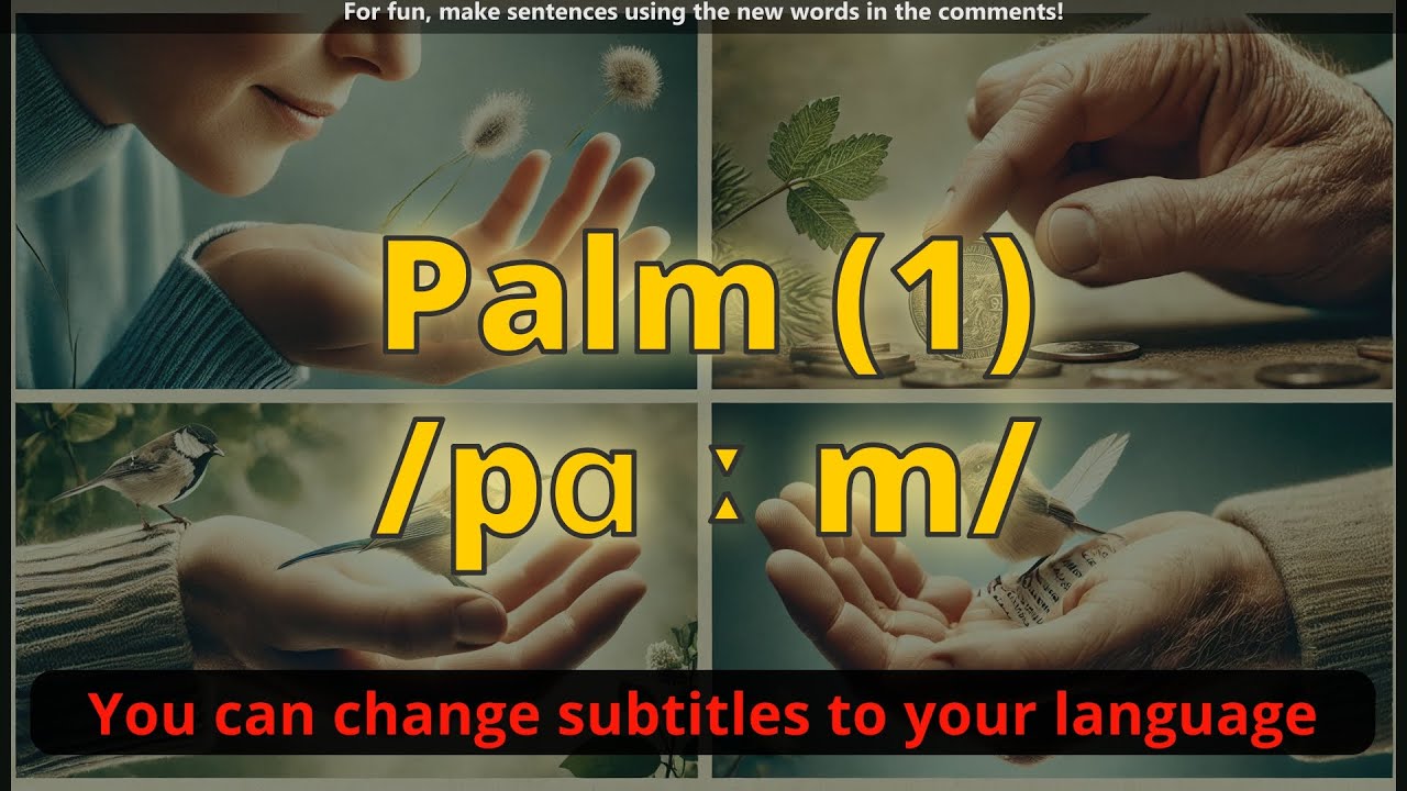 Palm meaning (hand's inner surface) with 5 examples - YouTube