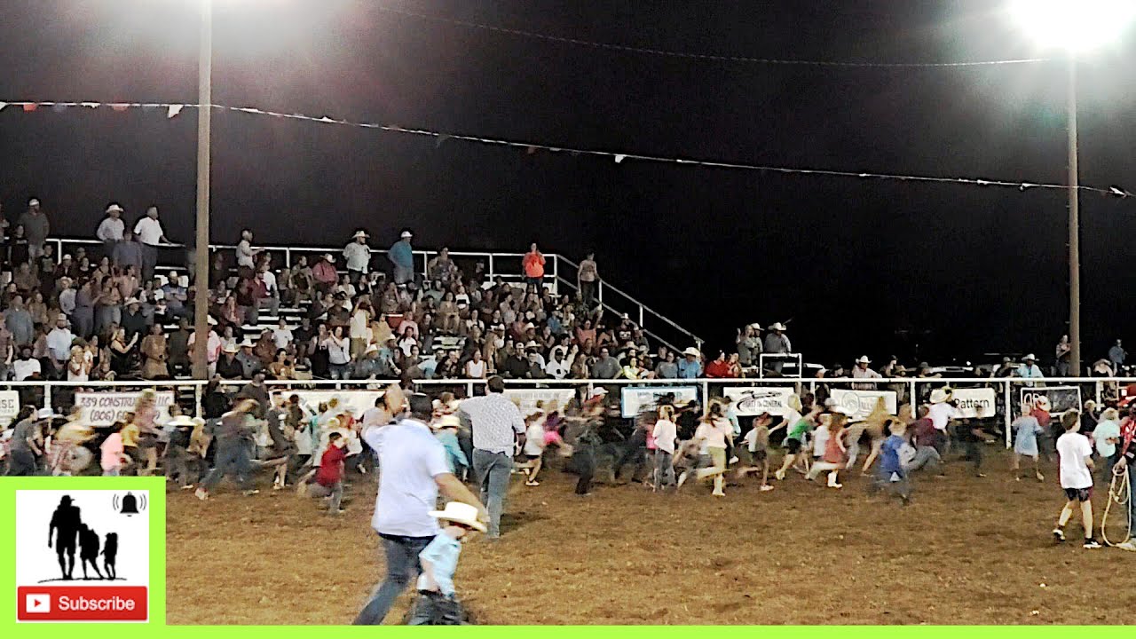 Calf Scramble - 2024 White Deer Rodeo - YouTube