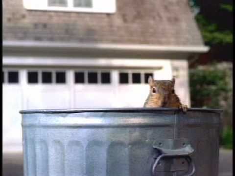 LeafGuard Gutters commercial Revenge of the Squirrels - YouTube