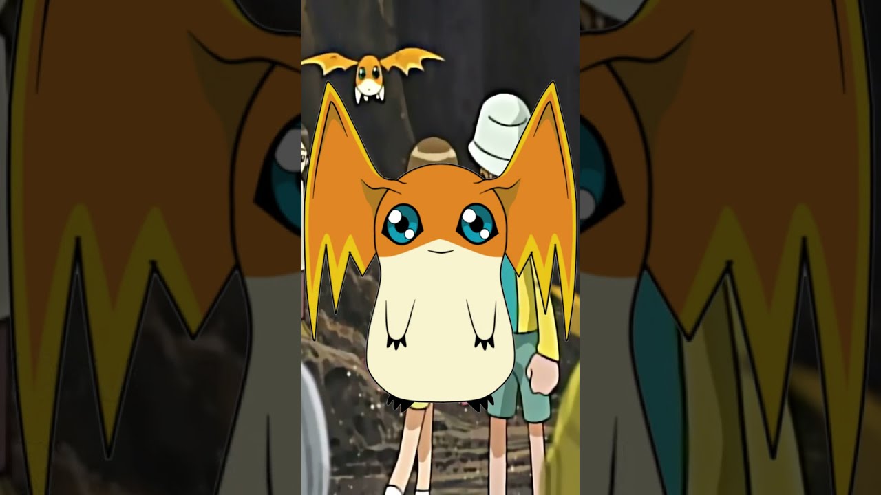 Evoluciones Armor de Patamon - YouTube