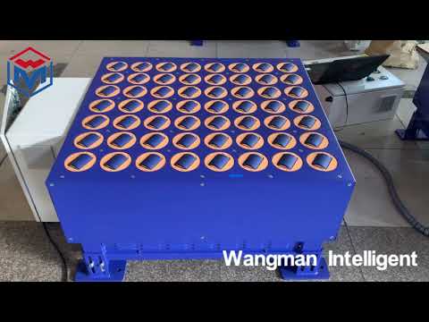 800EWS Wheel Sorter/Wave Sorter/Swivel Sorter/Pivort Sorter for ...