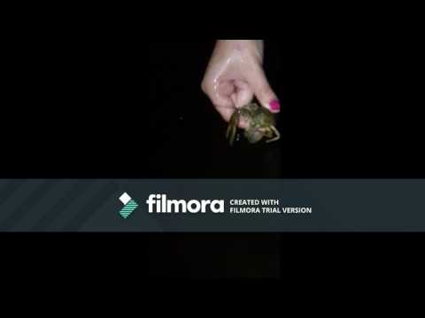 Freak of nature crawdad!!!!!