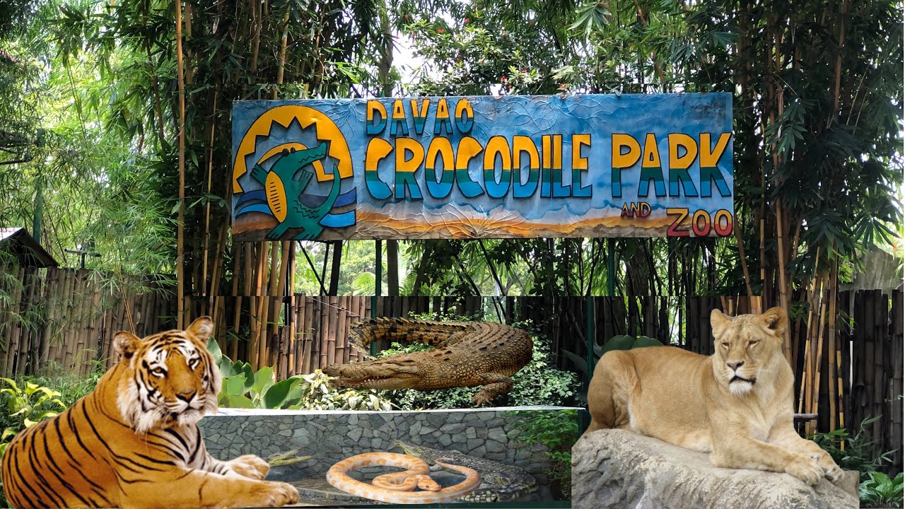 DAVAO CROCODILE PARK - YouTube