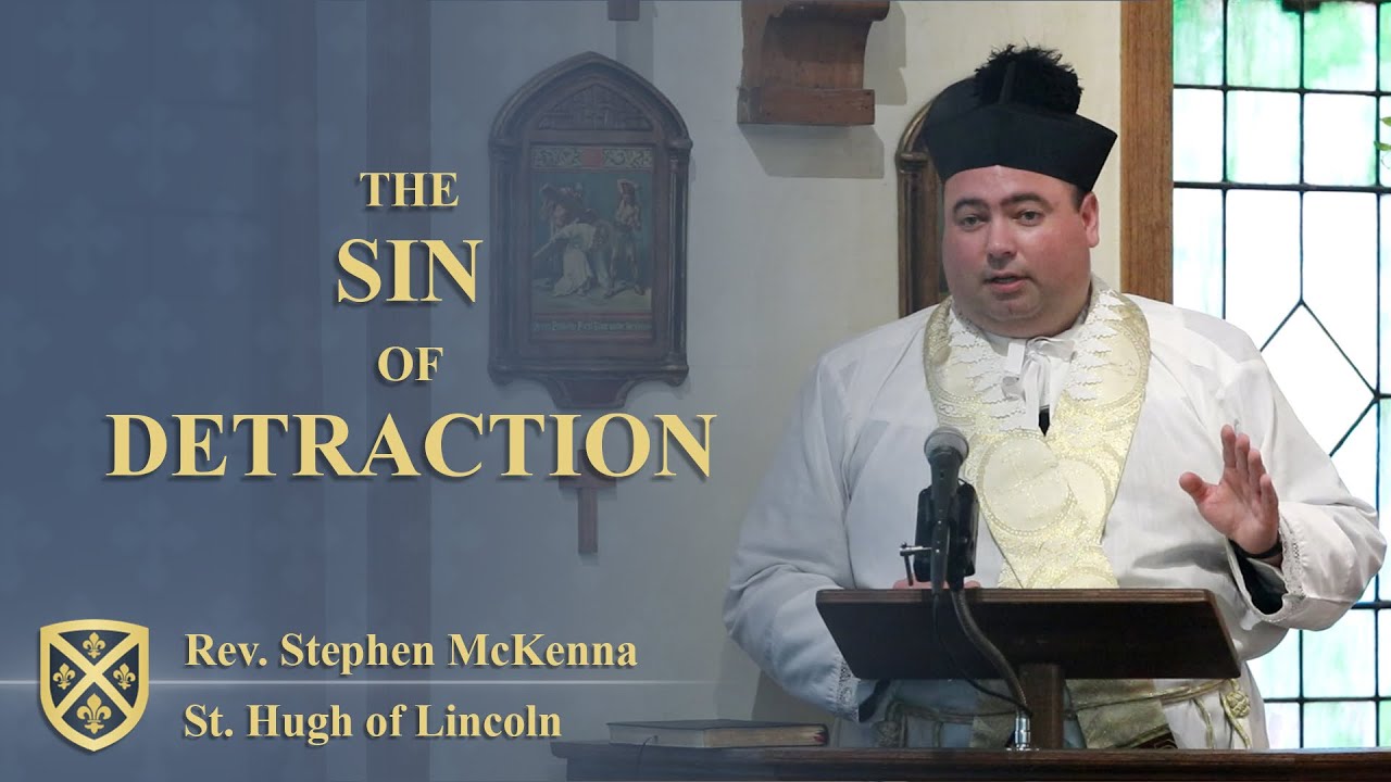 The Sin of Detraction | Rev. Stephen McKenna - YouTube