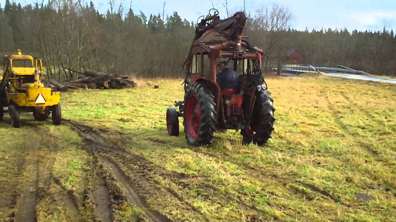 Skogsboxerns uppståndelse #5 - YouTube