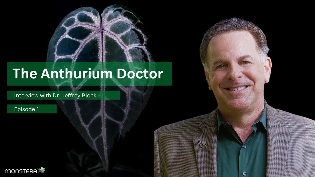 Ep: 1 | The Anthurium Doctor, Doc Block - YouTube