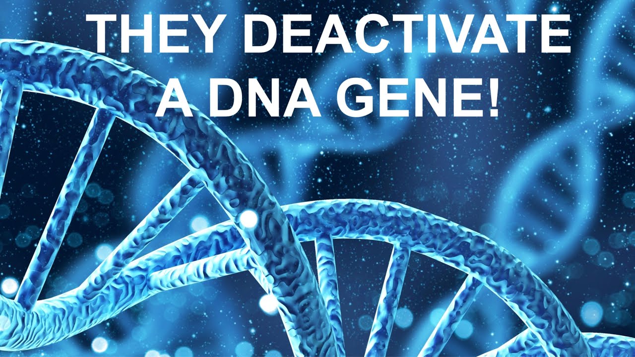 SCIENTISTS SUCCEED IN CURING GENETIC DISEASE WITHOUT MODIFYING DNA ...