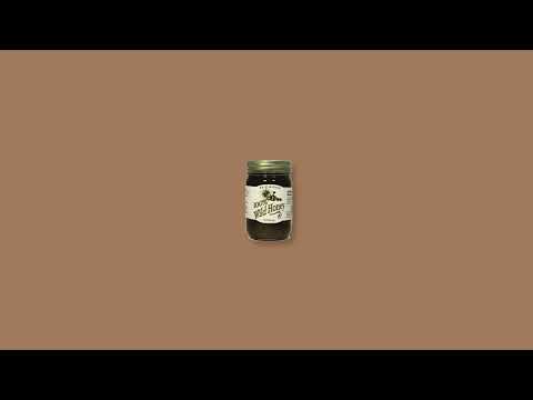 The Beach Boys - Honey Get Home [AI]