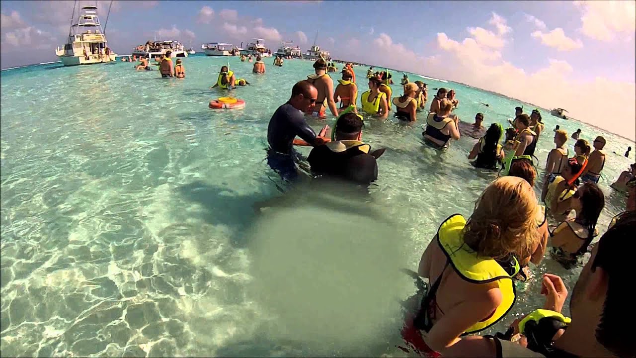 Stingray City Sandbar at Grand Cayman Islands - 01-10-13 - YouTube