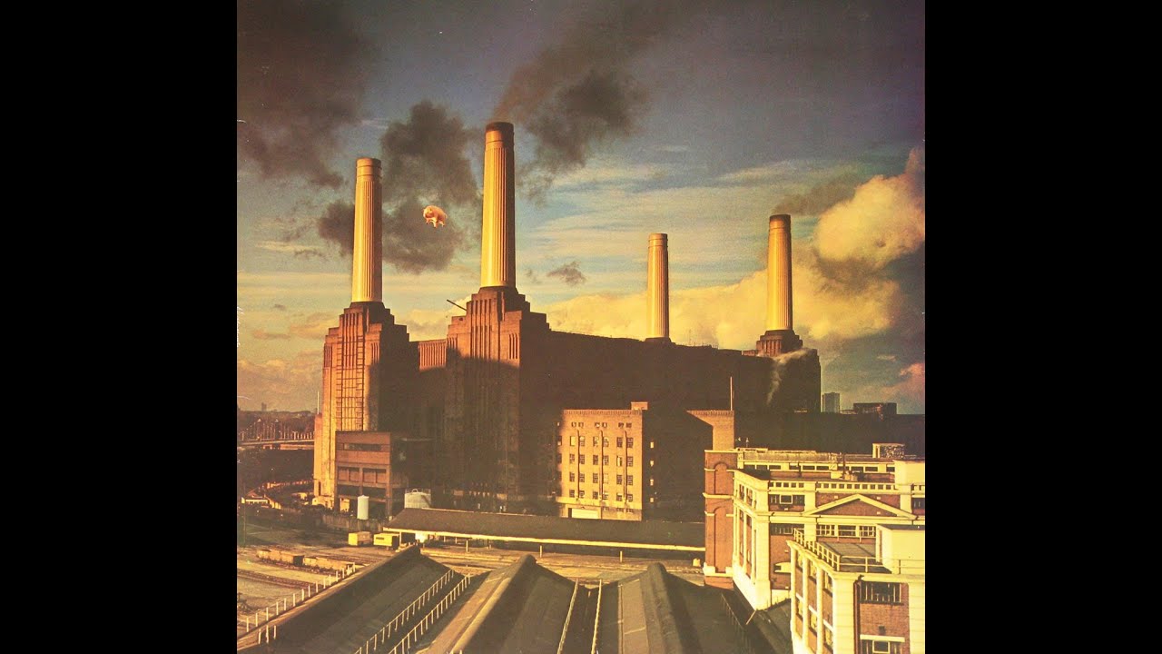 Dogs, Pink Floyd 1977 - YouTube