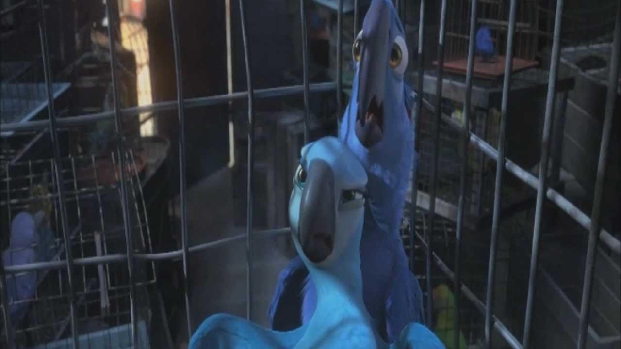 [Rio] Nigel's Song Inglish (Pretty Bird by Jemaine Clement) AMV - YouTube