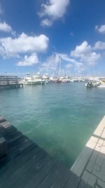 Fish House in Aruba - YouTube