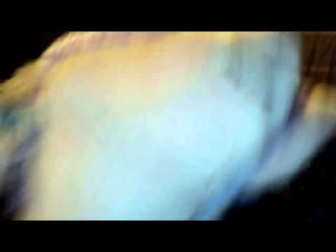 Unicorn Shaking Her Booty