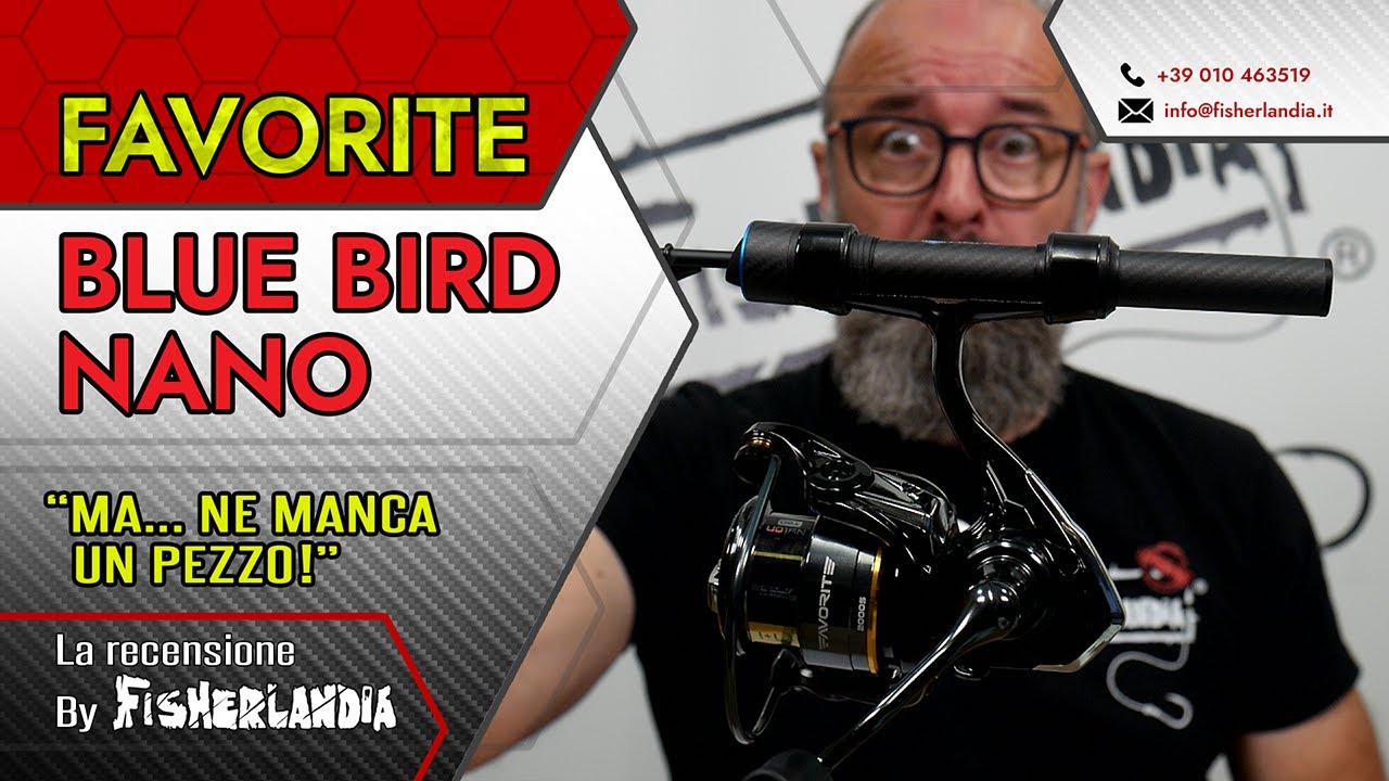 FAVORITE BLUE BIRD NANO - FA' TENDENZA - YouTube