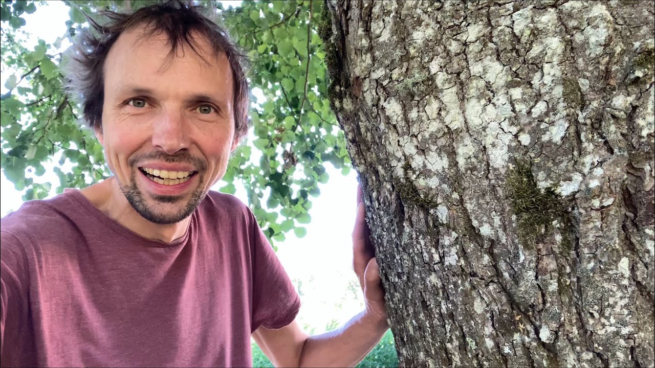 How many trees can I touch in 60 minutes - YouTube