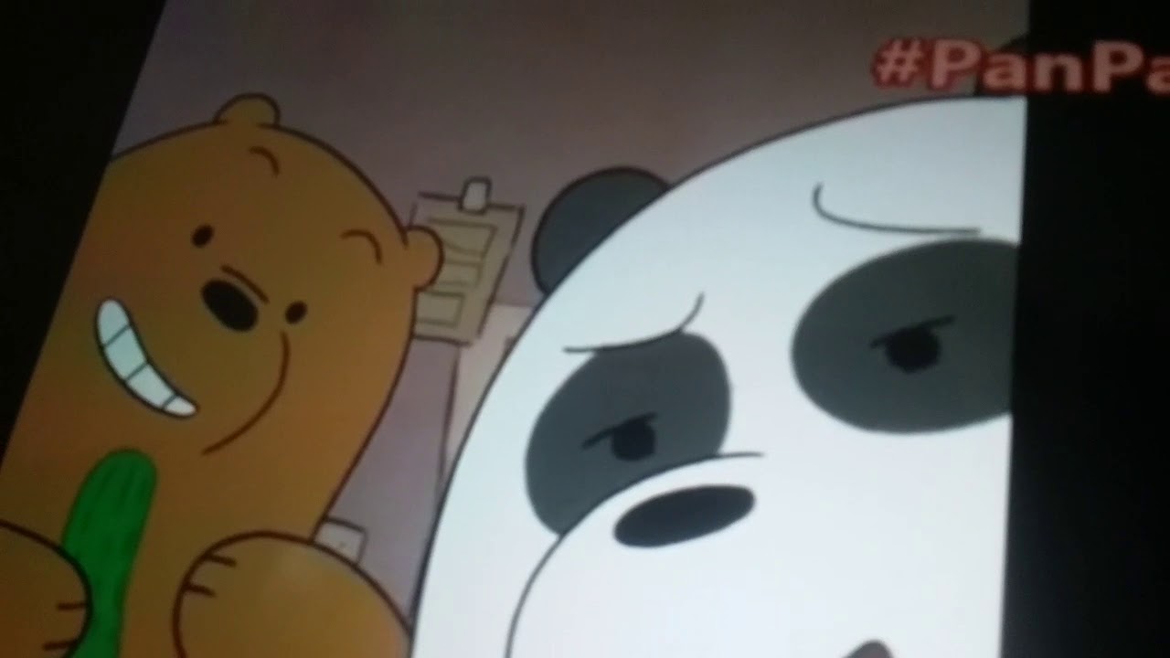 Ice bear scared of cucumbers - YouTube