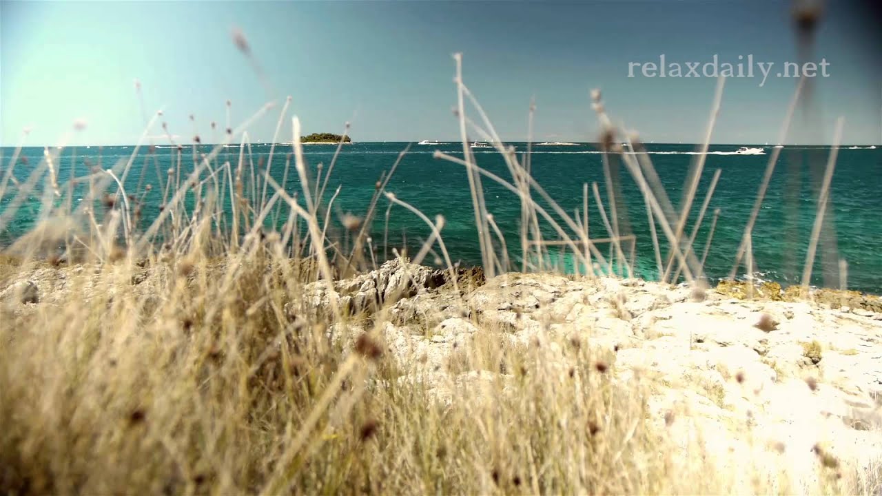 Calm, Soft, Easy Background Music Instrumental - relaxdaily N°052 (flow ...