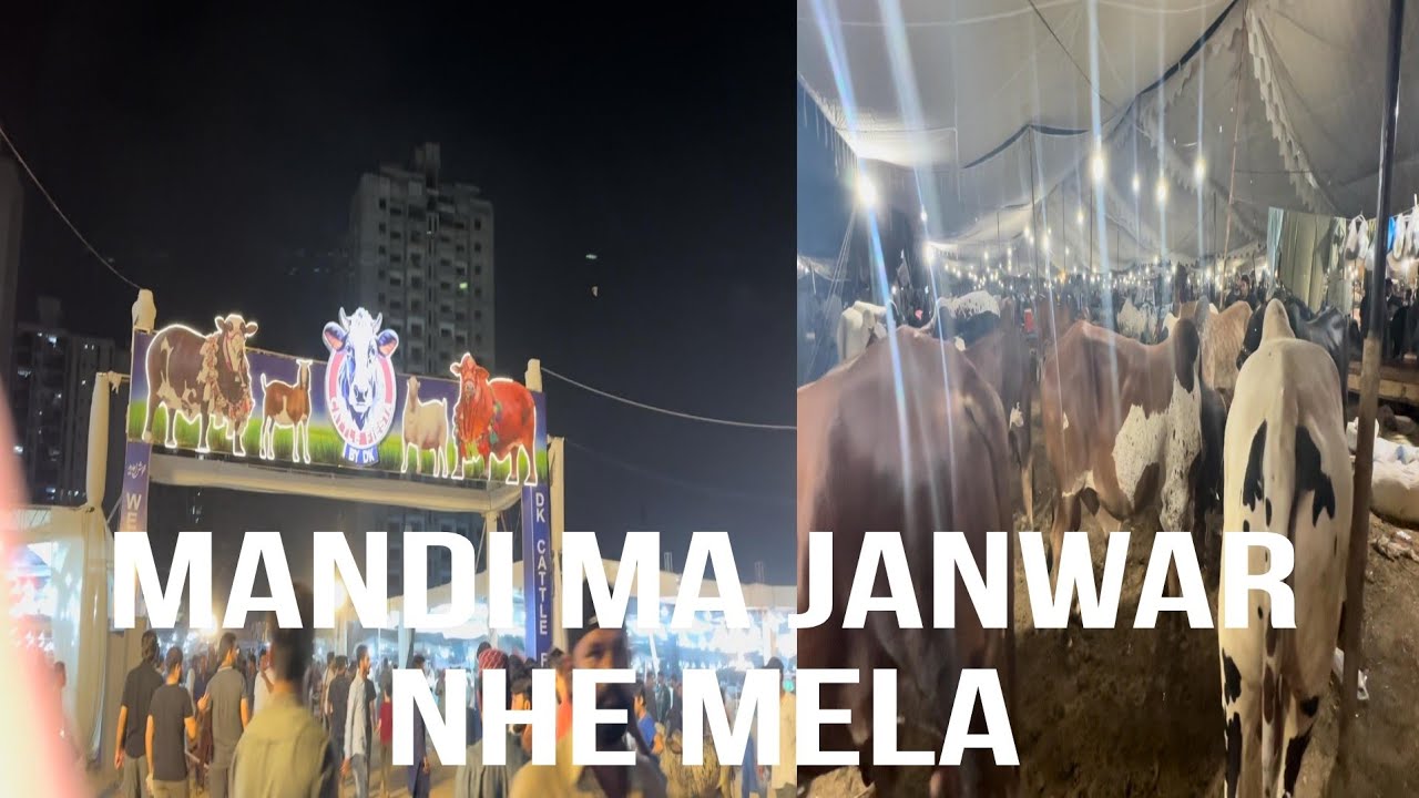 mandi ma janwar nhe mela - YouTube