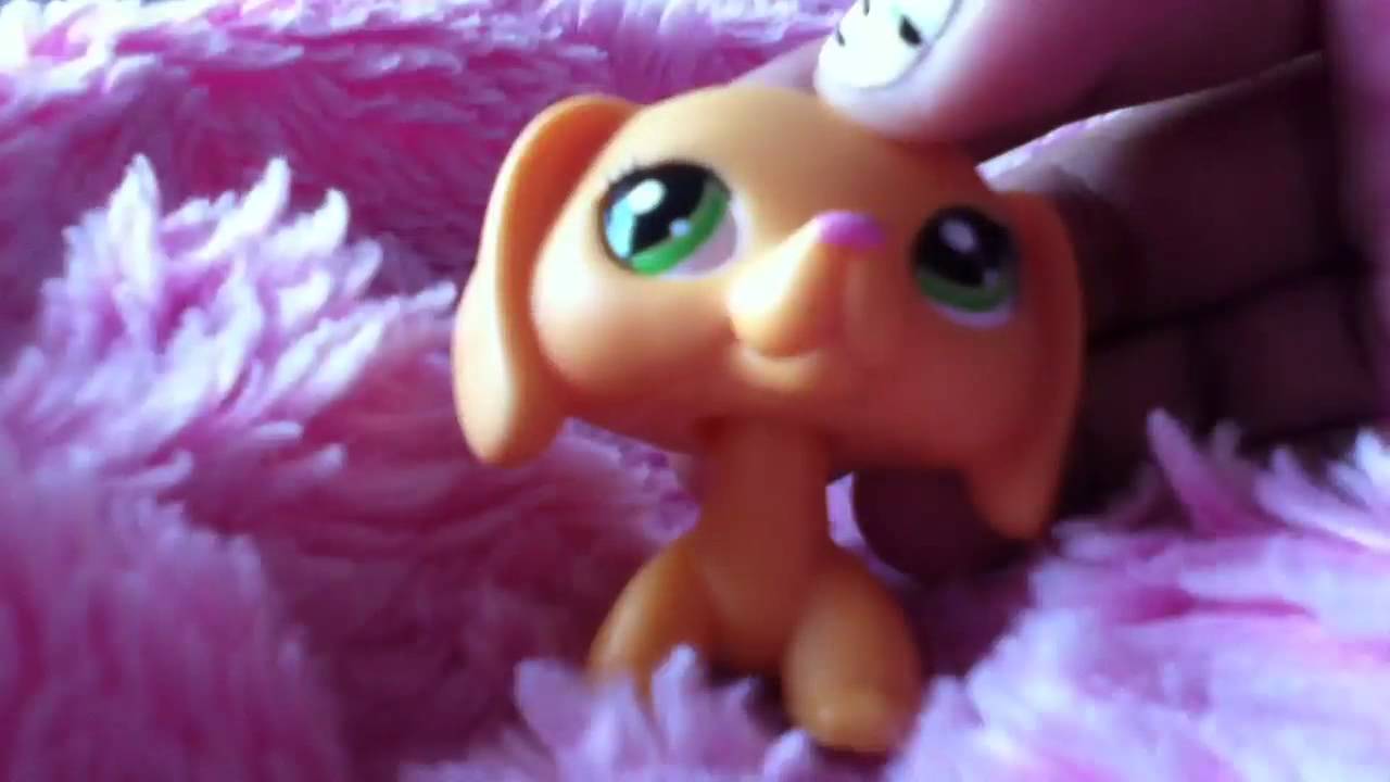 Lps: Hey It's Sunday!!! - YouTube