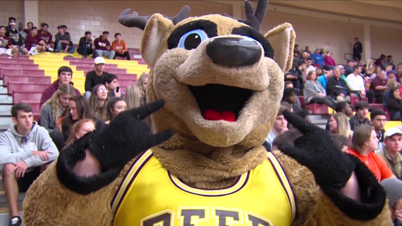 Week 2 - Boys Hoops - La Porte Bulldogs vs Deer Park Deer - YouTube